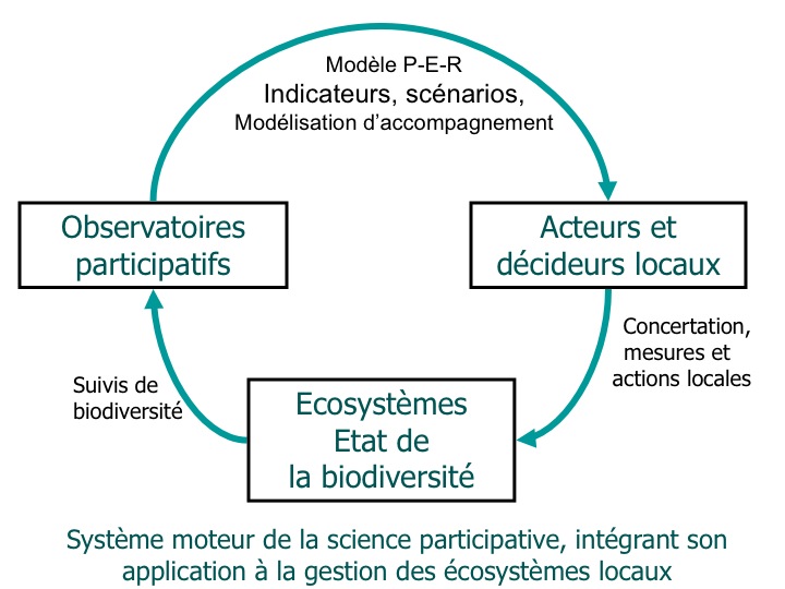 R11 : Biodiversité et science participative, Anne Teyssèdre et Denis ...